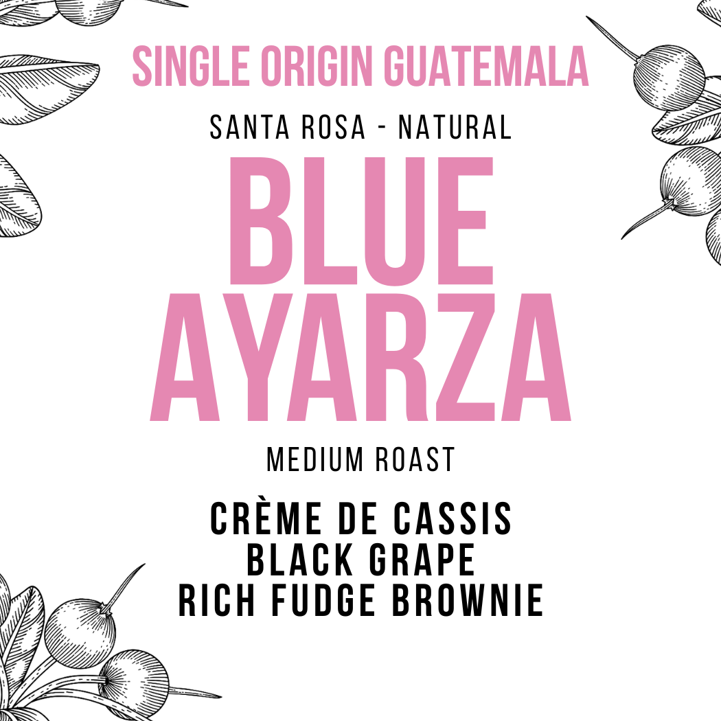 Guatemala Santa Rosa - Blue Ayarza | FREE SHIPPING +$40 – Jaho Coffee ...